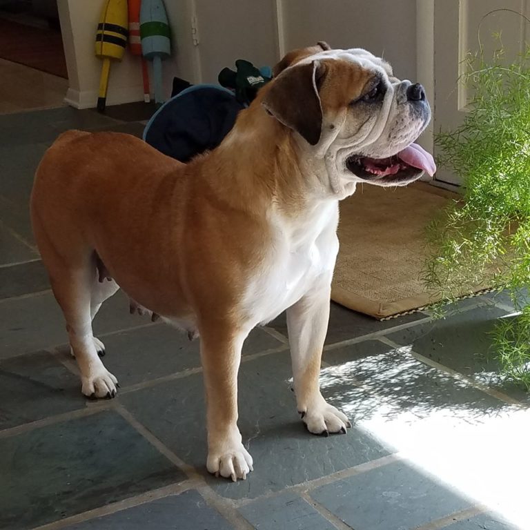 Meet Spry – Spry Design